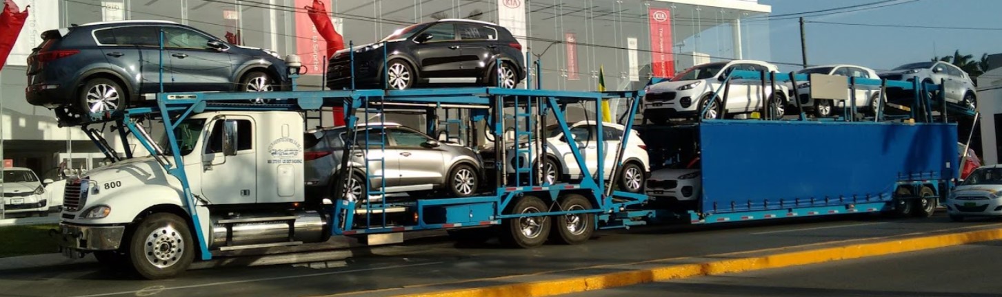 Grupo Tracomex S.A. de C.V. - Logistika